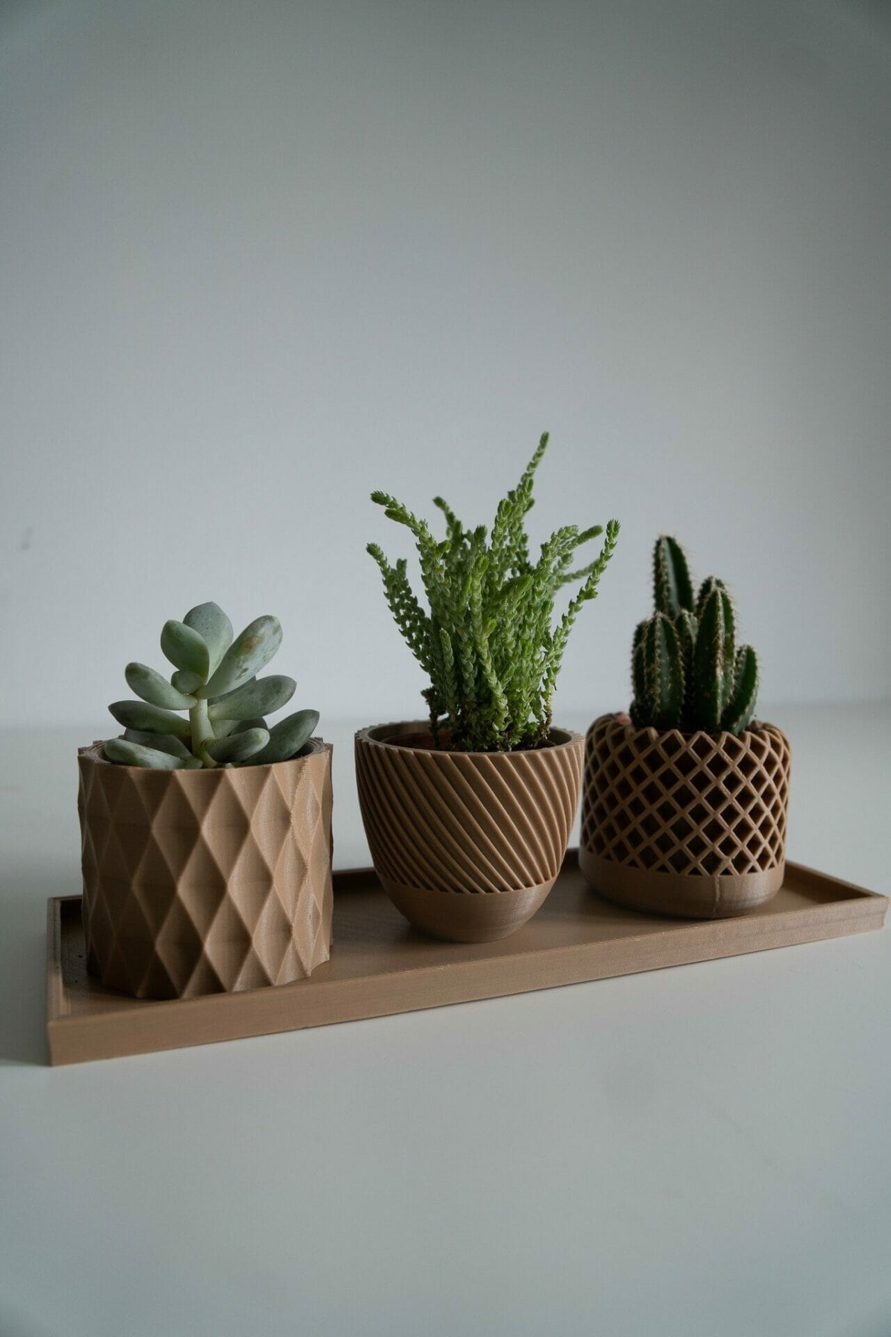 3D Printed Pots and Tray - Walls of Eden