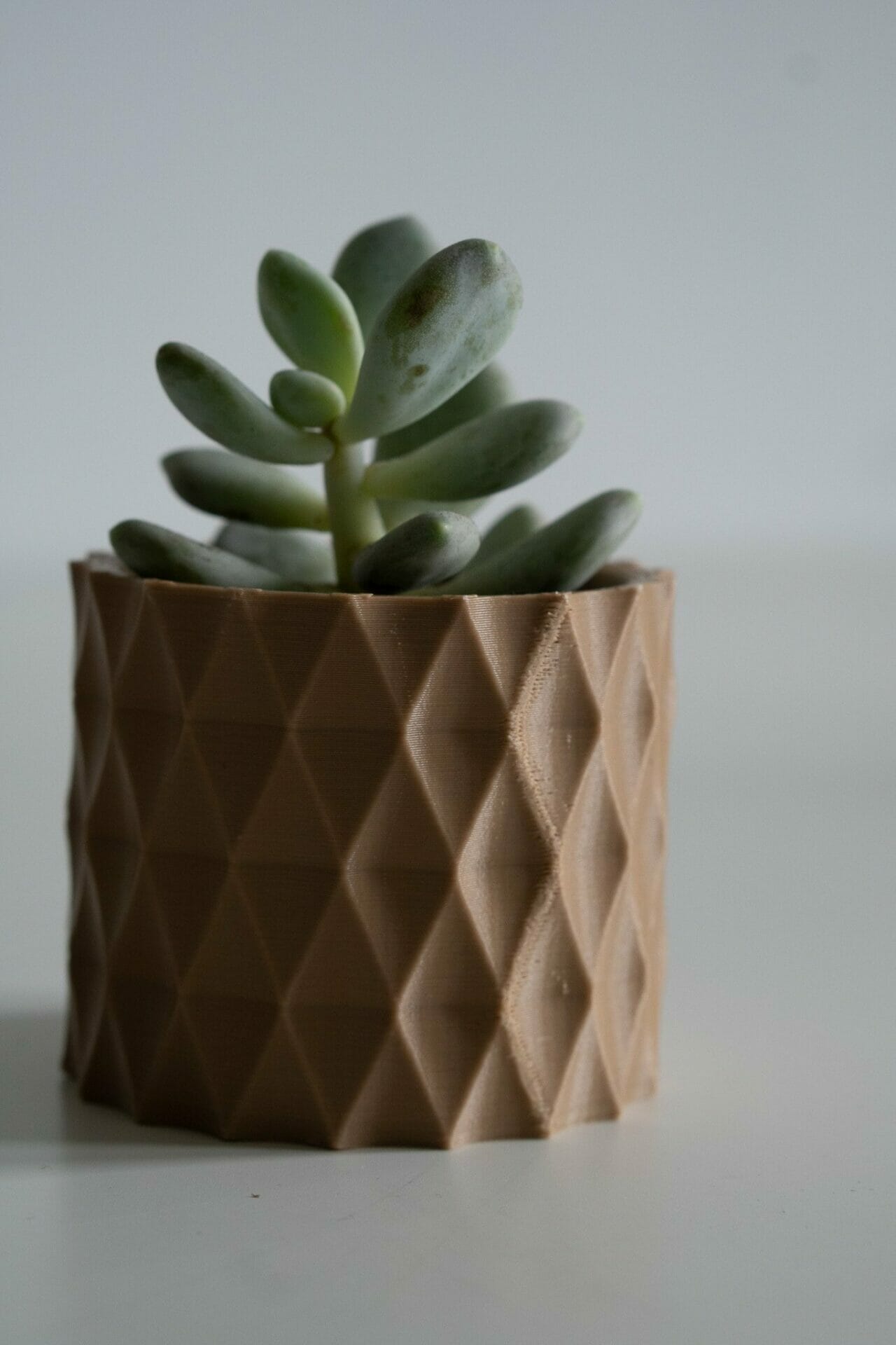 3D Printed Pots and Tray - Walls of Eden